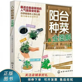 阳台种菜全图解