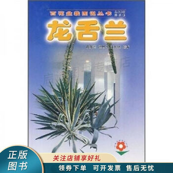 龙舌兰 成雅京