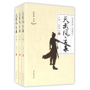 天武风云录(上中下) 共3册