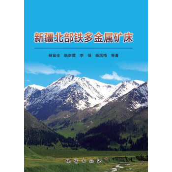 北部铁多金属矿床 杨富全等 地质出版社