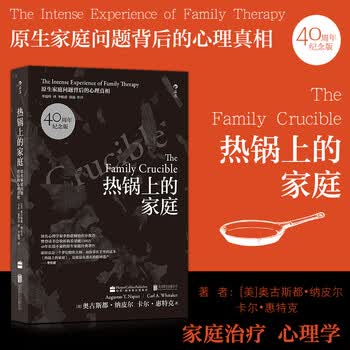 热锅上的家庭  家庭和睦相处的秘密 家庭关系修复 心理治疗 读书会书 心理学 原生家庭书籍