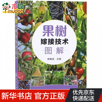 果树嫁接技术图解