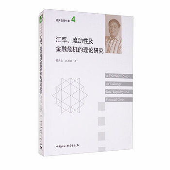 汇率、流动性及金融危机的理论研究