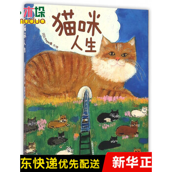 猫咪人生