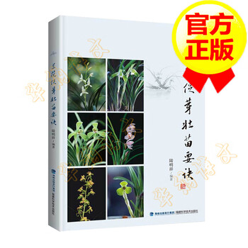 兰花促芽壮苗要诀