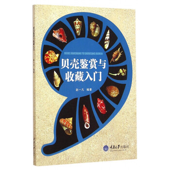 贝壳鉴赏与收藏入门