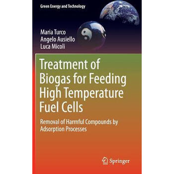 Treatment of Biogas for Feeding High Temperature