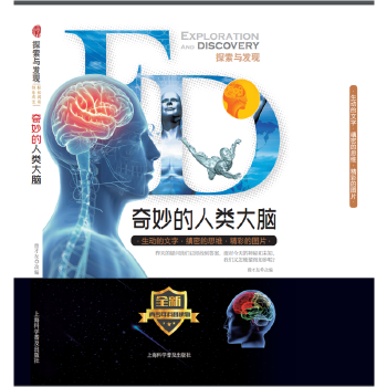 奇妙的人类大脑