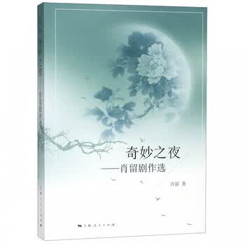 奇妙之夜--肖留剧作选