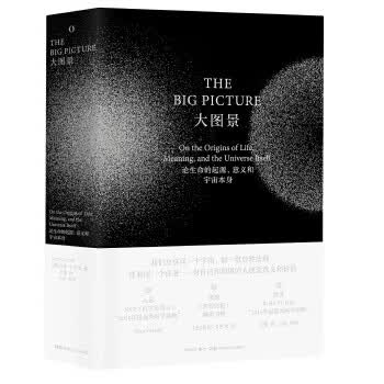 大图景