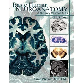 Basic Human Neuroanatomy: A Clinically Oriented