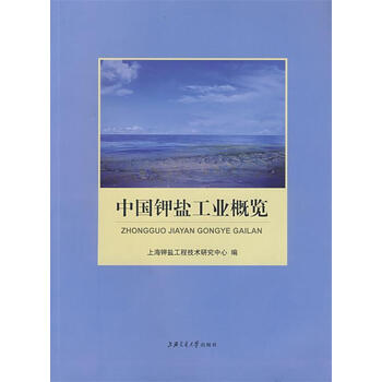中国钾盐工业概览【正版图书，放心下单】