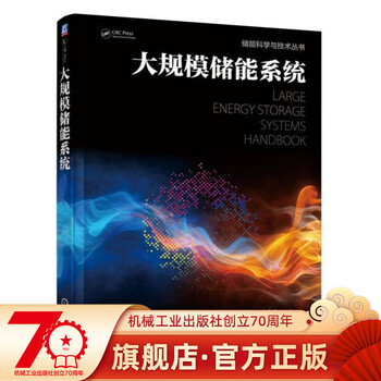 大规模储能系统 Frank S.Barnes 储能科学与技术丛书