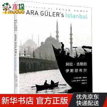 阿拉·古勒的伊斯坦布尔(精)