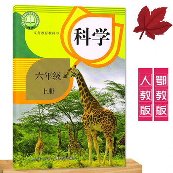 2022新版科学六年级上册教材 人教部编版小学6六年级上册科学书课本教科书 人民教育出版社
