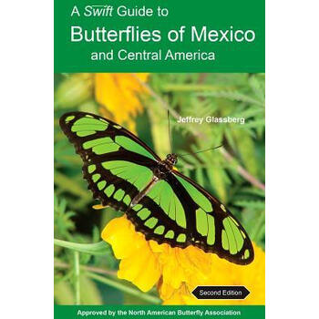 A Swift Guide to Butterflies of Mexico and Centr