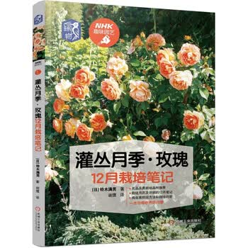 灌丛月季 玫瑰12月栽培笔记