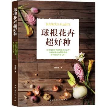 球根花卉超好种