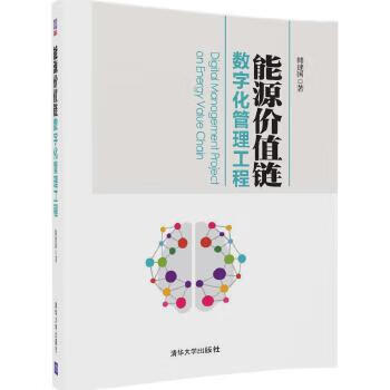 能源价值链数字化管理工程【正版图书】