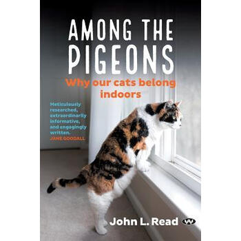 Among the Pigeons: Why Our Cats Belong Indoors