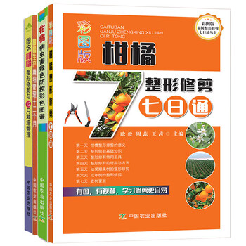柑橘种植技术书籍4册  果树橘子桔子修剪农业种植管理技术高效栽培大全书病虫害防治生产精细管理十二个月