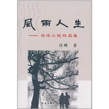 风雨人生 任峰 中国文联出版社