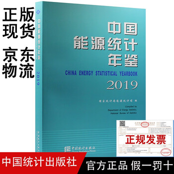 2019中国能源统计年鉴  2020年11月出版社