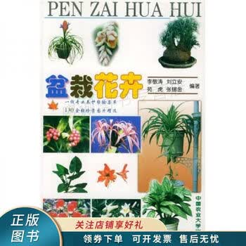 盆栽花卉 李敬涛