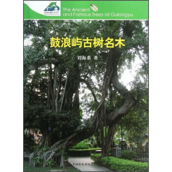 鼓浪屿古树名木
