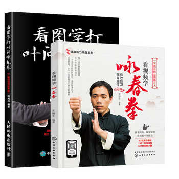 看视频学咏春拳+看图学打叶问咏春拳 叶问咏春拳书籍咏春拳谱2本