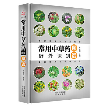 常用中药野外识别图谱 林余霖 北京出版社
