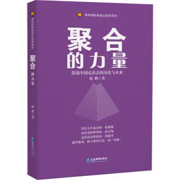 聚合的力量-游荡中国走出去的历史与未来 赵鹏 9787516411346 企业管理出版社