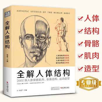 经典全集 全解人体结构艺术用解剖学工具书籍素描美术绘画入门教程理解骨骼肌肉运动造型形体
