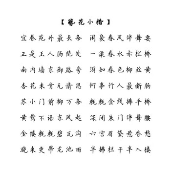 2022年公务员申论范文考试字帖国考公考行书楷书临摹钢笔练字帖 簪花小楷套餐四：具体见详情页
