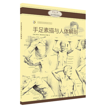 西方绘画技法经典教程·手足素描与人体解剖