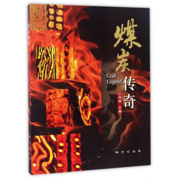 煤炭传奇 王润福 地质出版社