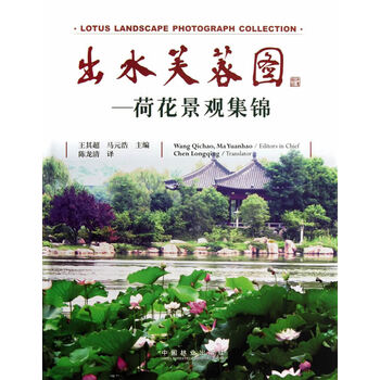 出水芙蓉图—荷花景观集锦