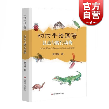 昆虫与爬行动物 动物手绘图谱 曾日明 著  上海锦绣文章出版社
