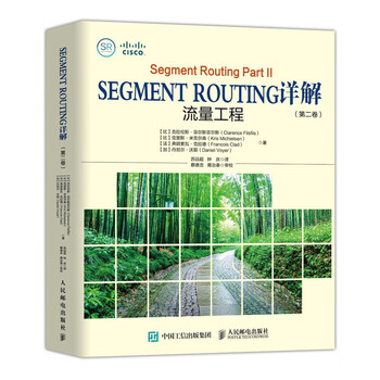 Segment Routing详解 第二卷 流量工程