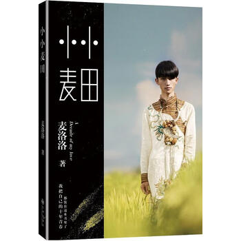 小小麦田 麦洛洛 九州出版社