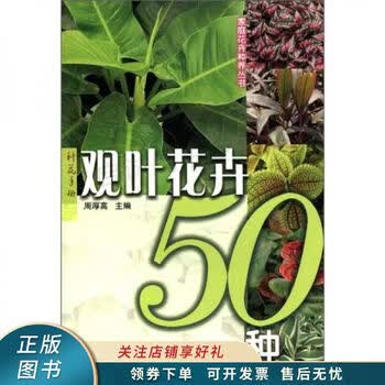 观叶花卉50种