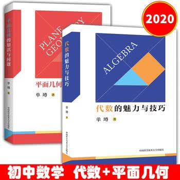 中科大代数的魅力与技巧+平面几何的知识与问题初一初二初三中考适用初中数学平面几何代数知识点初中数学解