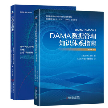 数据管理丛书【2册】DAMA数据管理知识体系指南+穿越数据的迷宫：数据管理执行指南 2册套装