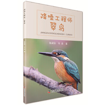 降噪工程师 翠鸟