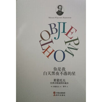 你是我白天黑夜不落的星
