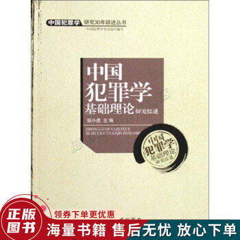 中国刑事政策研究综述