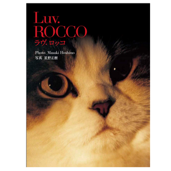 日文原版 Luv. ROCCO ラヴ?ロッコ  星野正樹作品集 猫猫艺术写真摄影画册