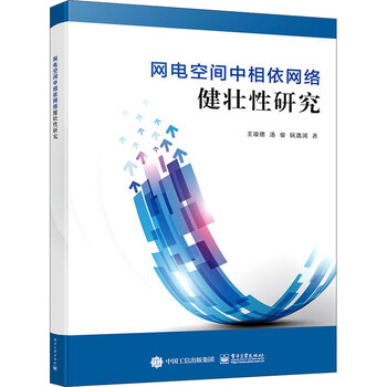 网电空间中相依网络健壮性研究