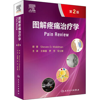 图解疼痛治疗学 第2版 (美)史蒂芬·D.沃尔德曼  王保国,罗芳,安立新 译 书籍