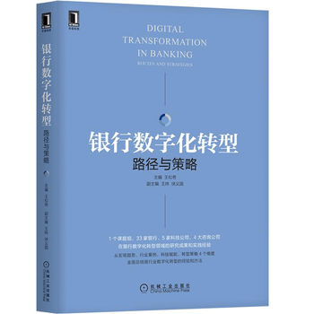 银行数字化转型：路径与策略 王松奇